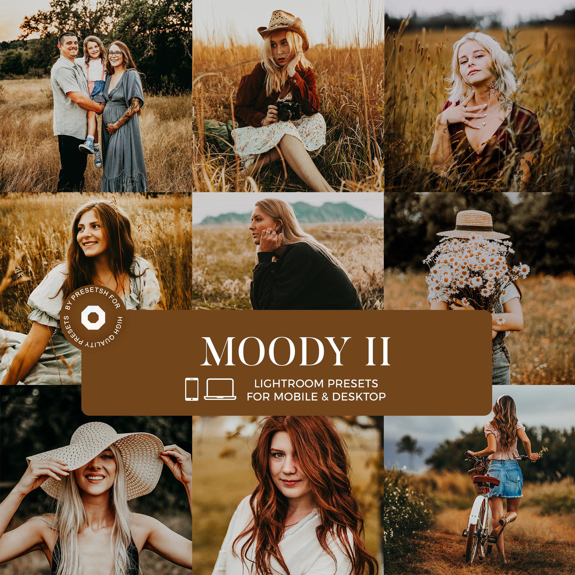Moody Lightroom Presets | Dark Moody Preset | By Presetsh